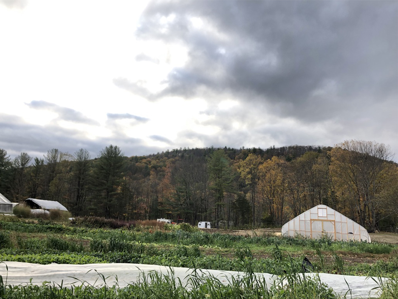 Fresh Food and Community - Growing Heart Farm