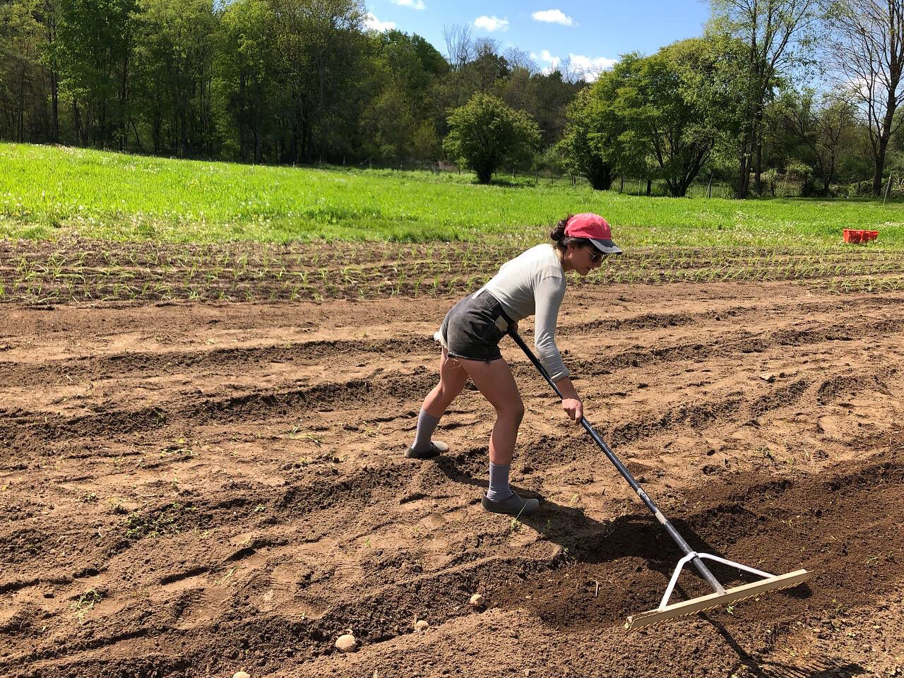 Fresh Food and Community - Growing Heart Farm